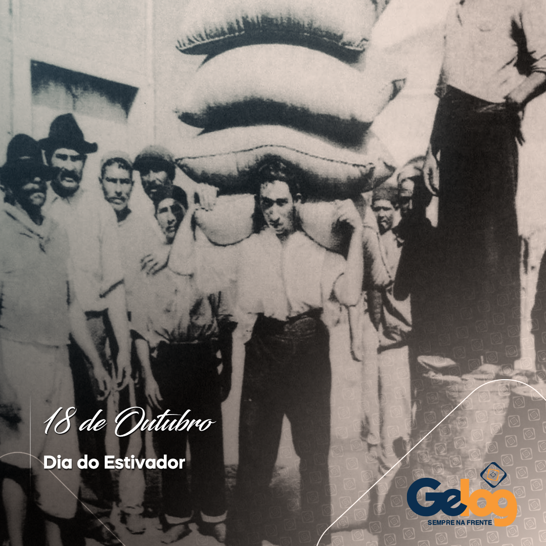 Dia do Estivador - Grupo Gelog